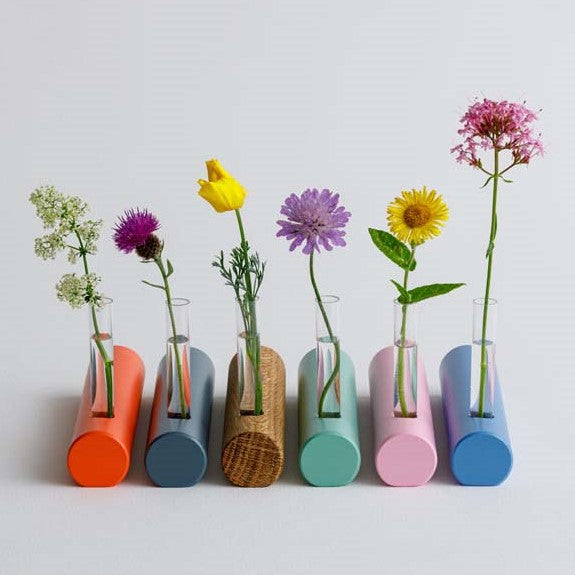 Coolree Design – The Green Dot